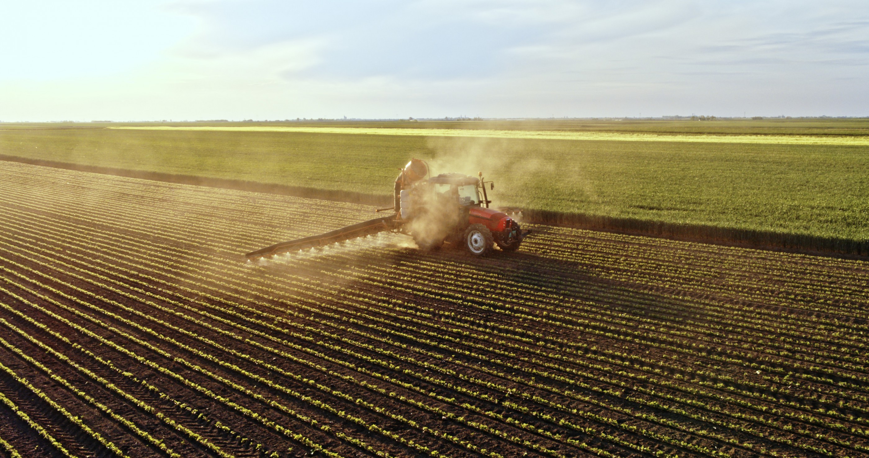 Soyl organic soy products: soybean expellers, soybean oil, storage of ...