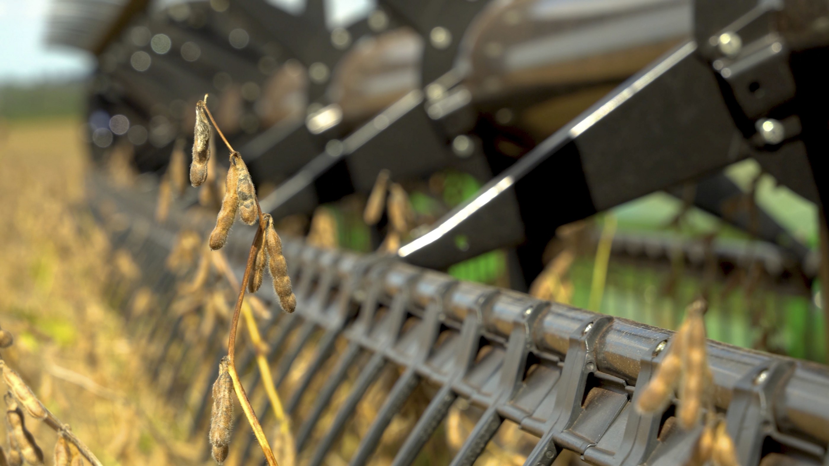 Products | Soyl organic soy products: soybean expellers, soybean oil ...