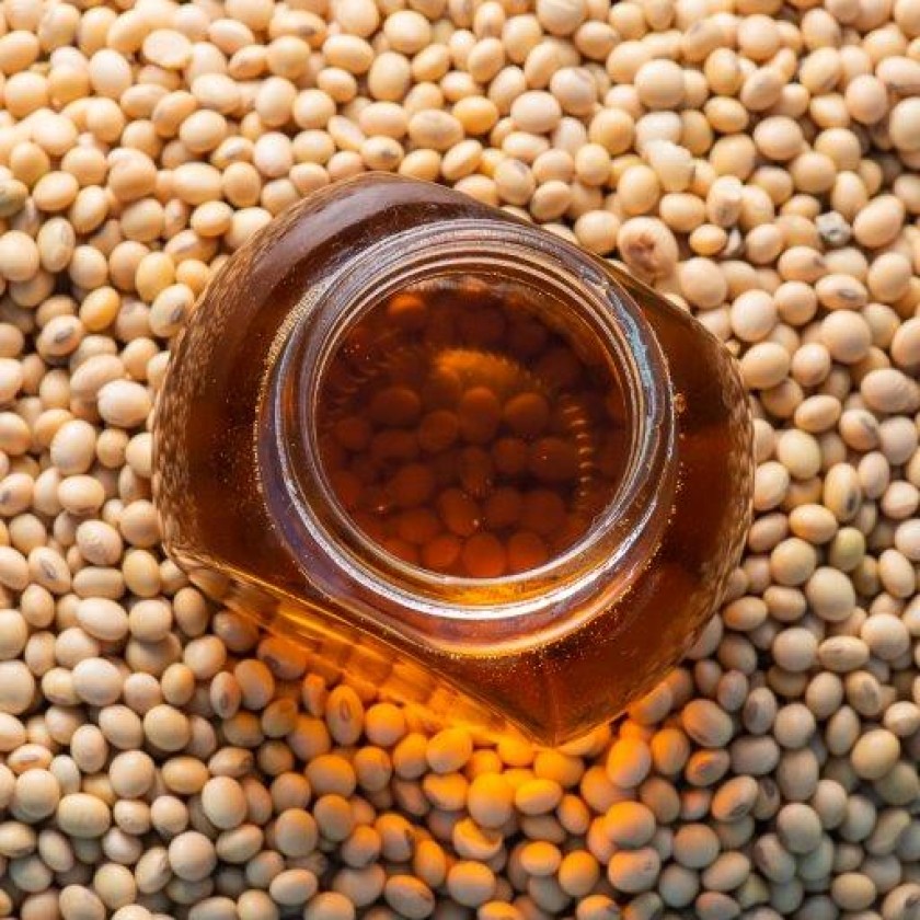 Nos Produits | Soyl Produits de soja biologique : tourteaux de soja ...